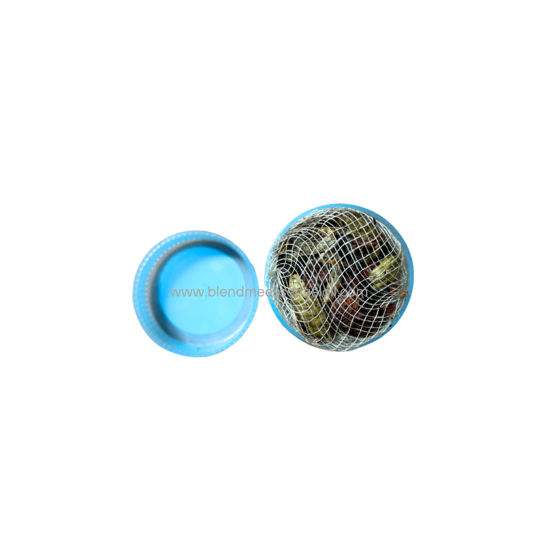 BlendME & Oils Awaken the Senses: Organic Mint Cooling Inhaler ...